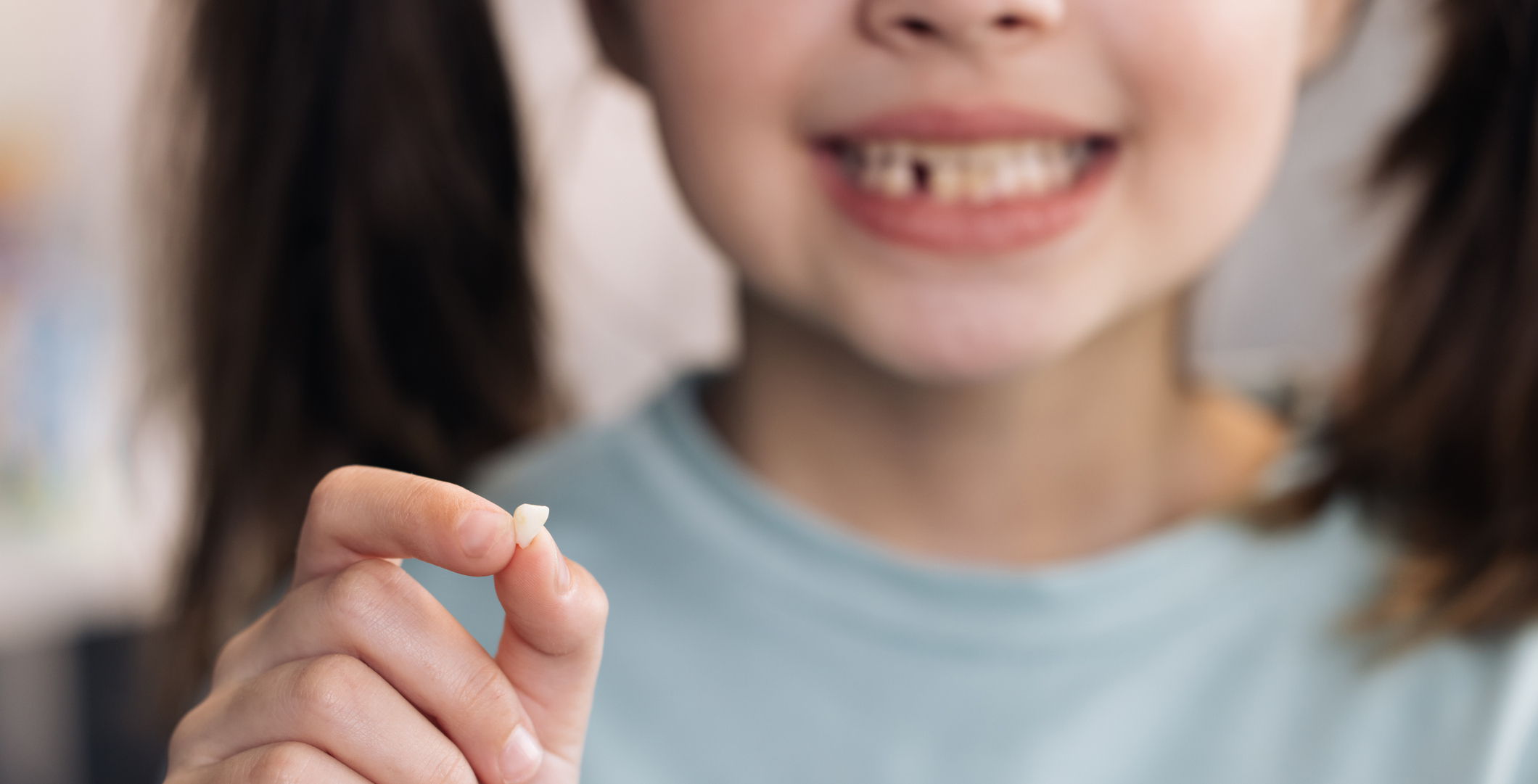 Durham County | Tooth Ferry