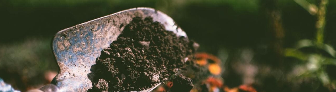 Durham County | Soil Samples